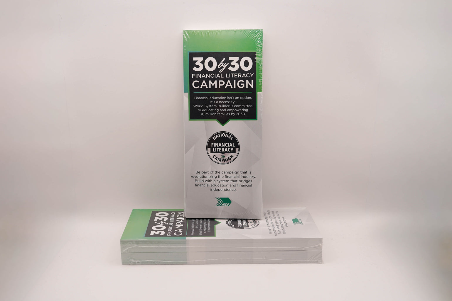 30x30 US Flyer (Pack of 50) – WSB Shop